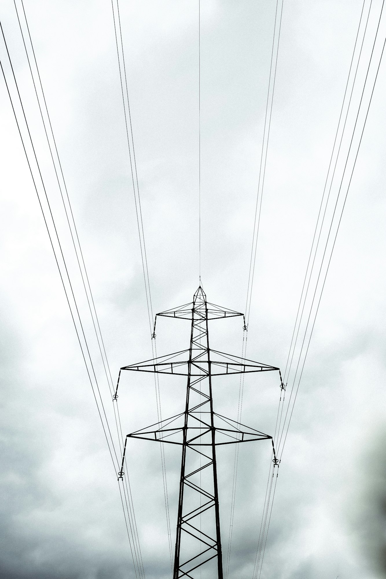 Services – Spectrum Utility Management